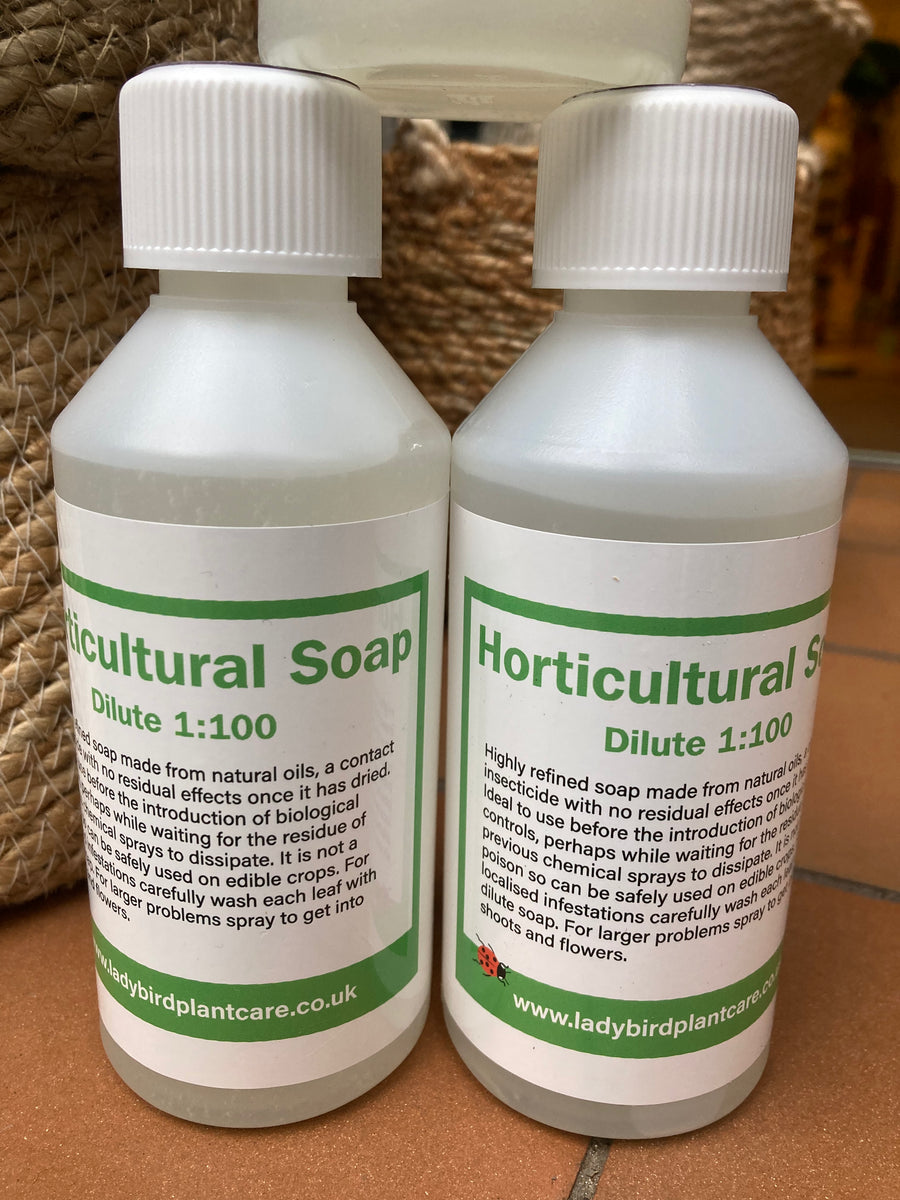 Horticultural Soap 250ml – Pilea Plant Shop