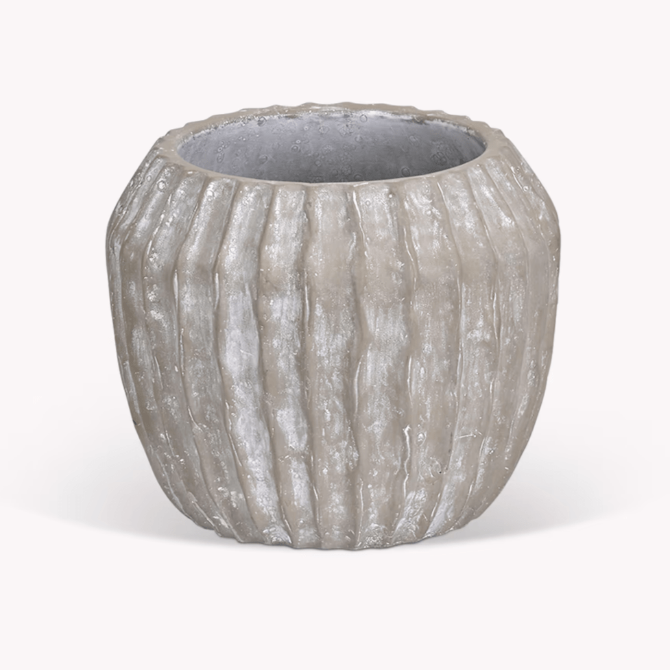 Concrete Groove Plant Pot – Pilea Plant Shop