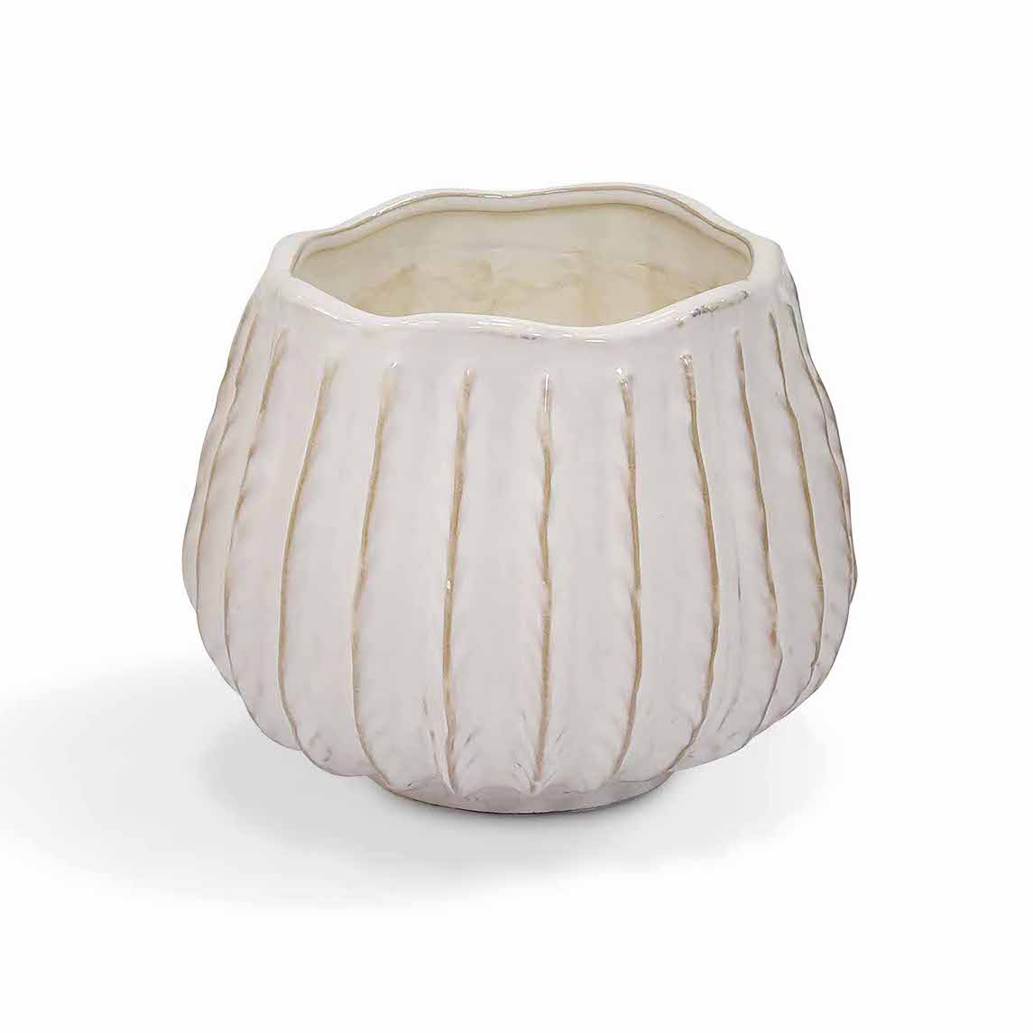 White Groove Plant Pots – Pilea Plant Shop