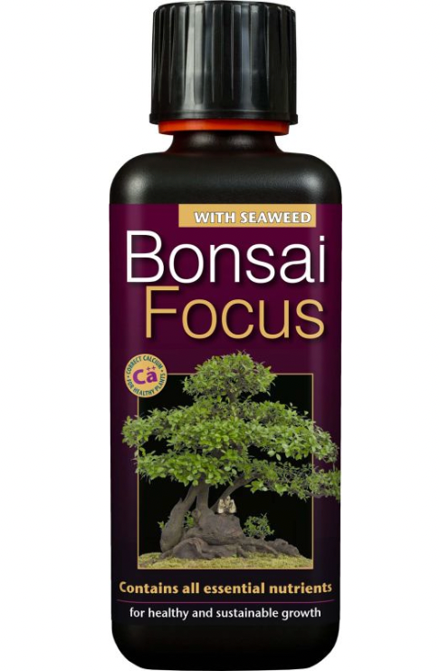 Bonsai Feed 300ml – Pilea Plant Shop