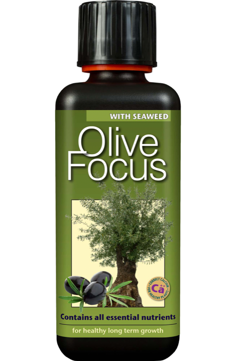 Olive Feed 300ml – Pilea Plant Shop